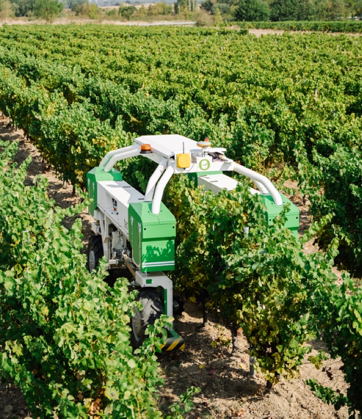Dino Vegetable Weeding Robot For Large Scale Vegetable Farms
