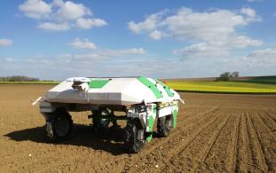DINO: the world’s first row-straddling weeding robot to reach the ...