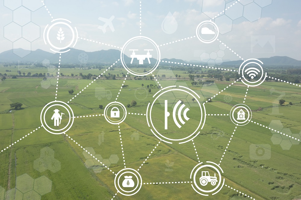 Data analysis: the dawn of precision agriculture - Naïo Technologies