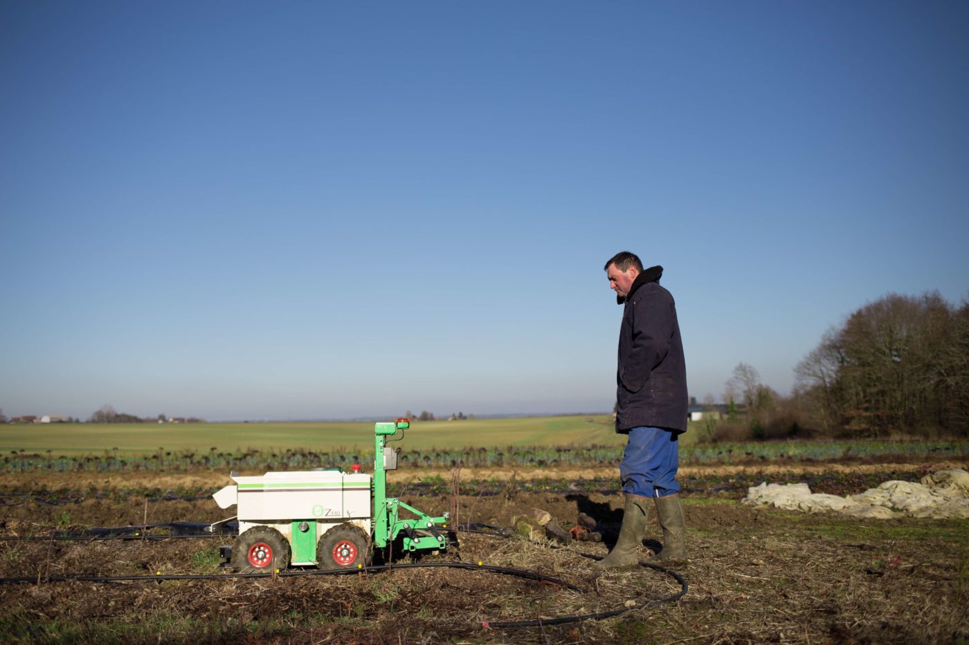 The Oz robot, a new weeding solution - Naïo Technologies