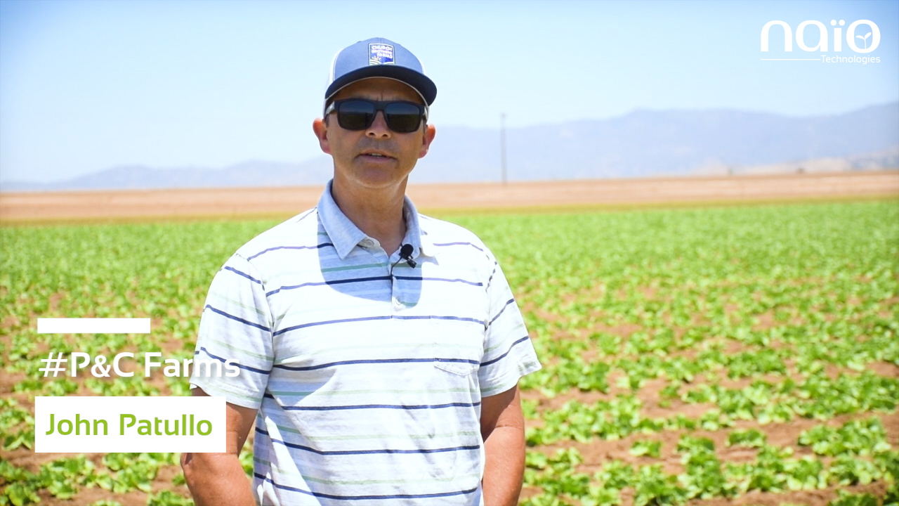 Dino permet aux producteurs de légumes de réduire leurs coûts de ...