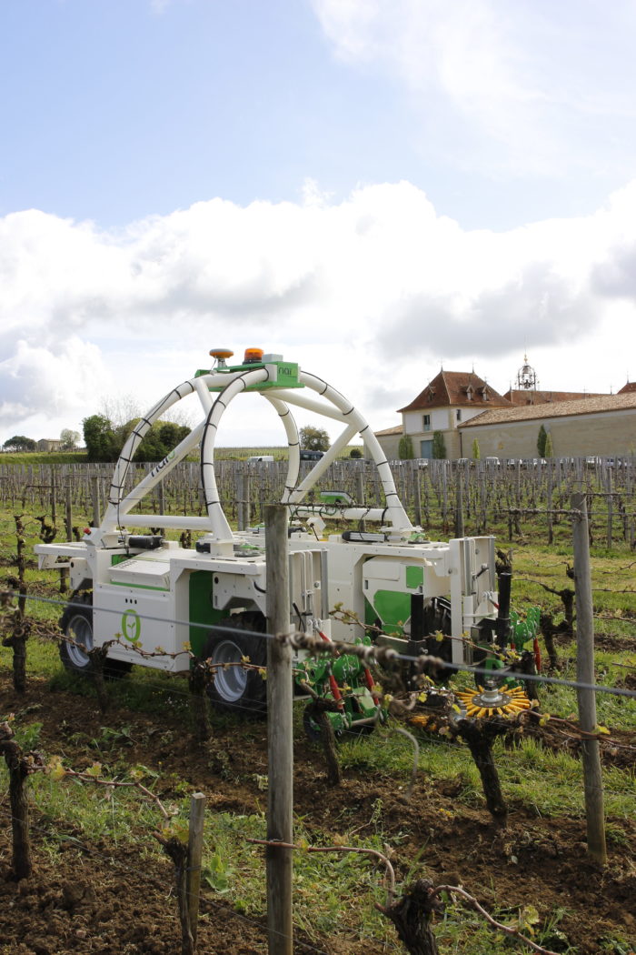 TED robot weeds Château Angélus vineyards - Naïo Technologies