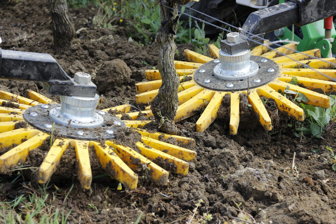 Tillage under vines : weeding in transition - Naïo Technologies