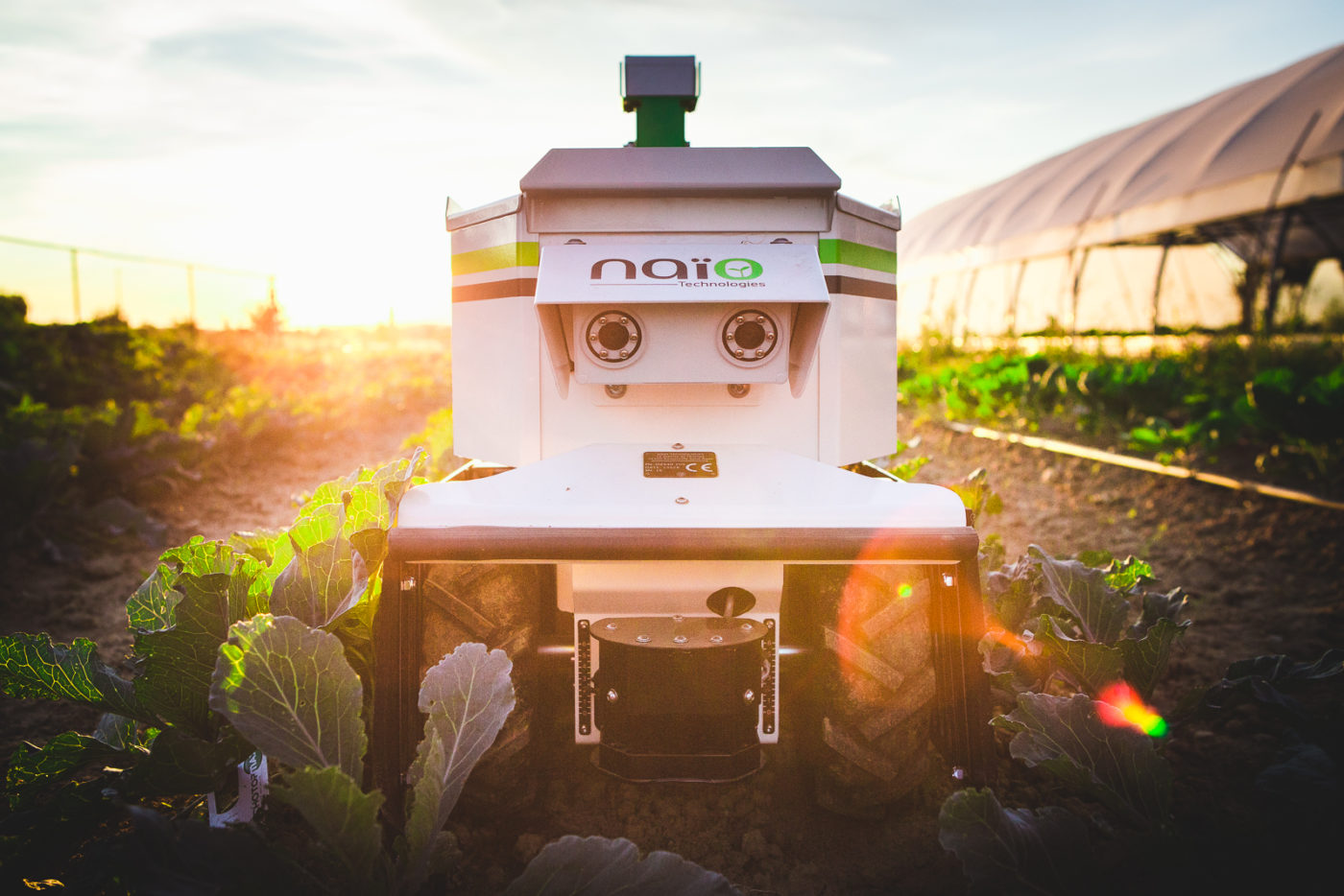 La vision d'Anatis bientôt sur le robot OZ ! - Naïo Technologies