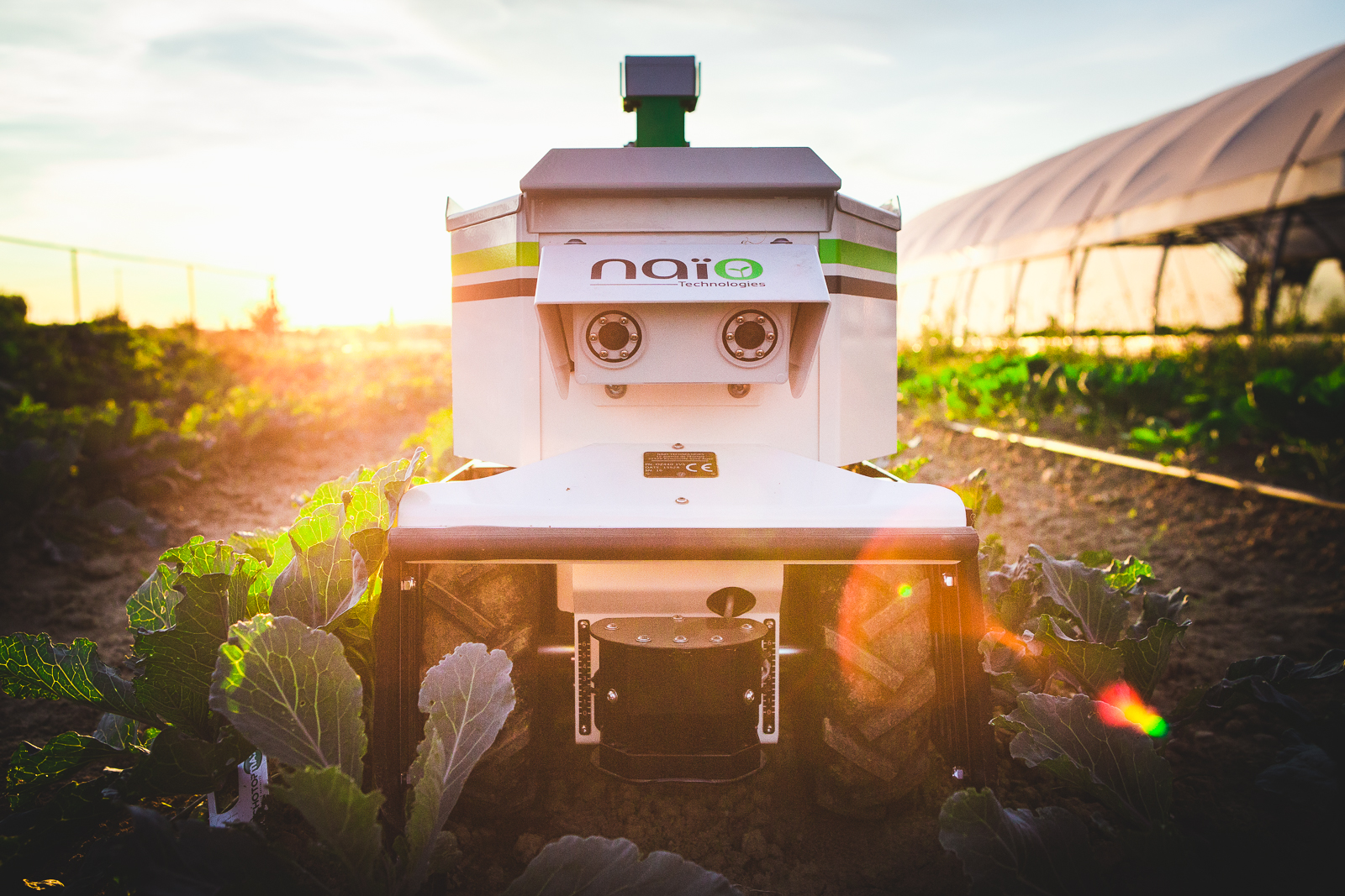 La vision d'Anatis bientôt sur le robot OZ ! - Naïo Technologies