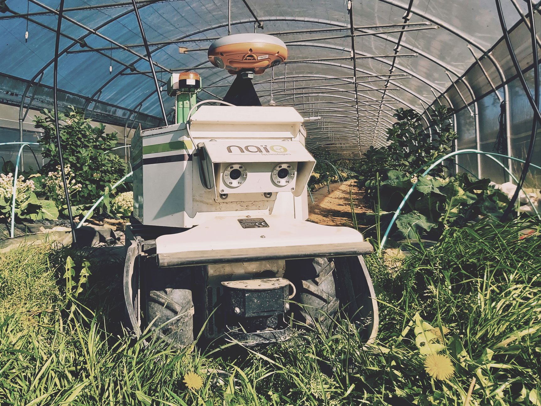 Oz returns revitalised - Naïo Technologies