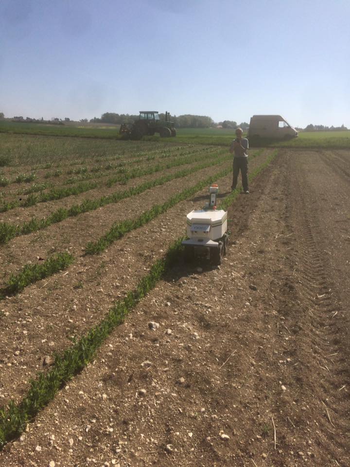 The Oz weeding robot on a produce farm - testimonial - Naïo Technologies