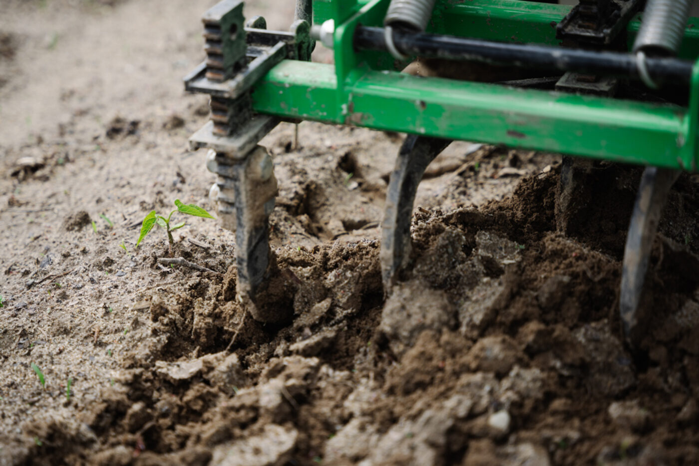 Exploring the Naïo test plots - Naïo Technologies