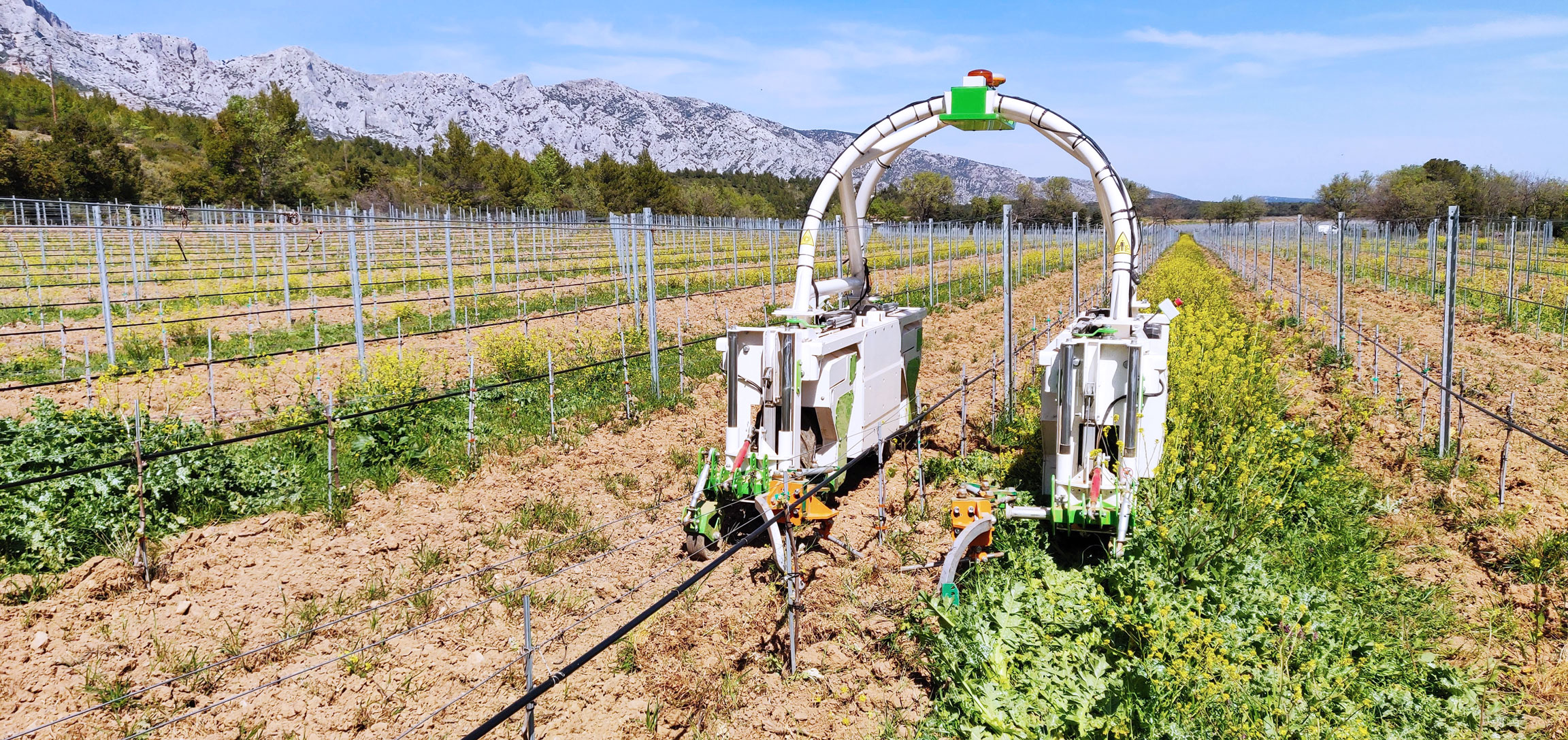 Ted robotics at the heart of the strategy of Grands Chais de France ...