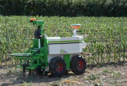 Oz - Naïo Technologies