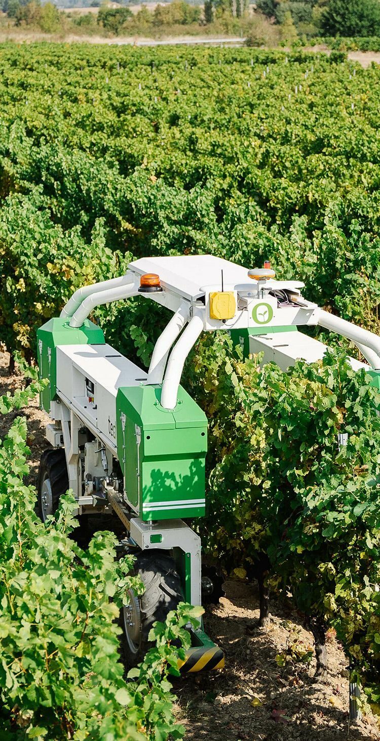 Robots agricoles Naïo Technologies